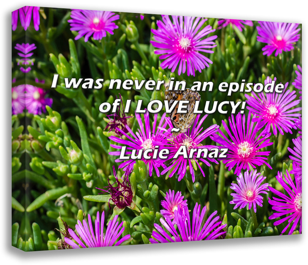 World Menagerie Artsy Quote "I was never in an episode of I LOVE LUCY!" By Lucie Arnaz Gallery ...